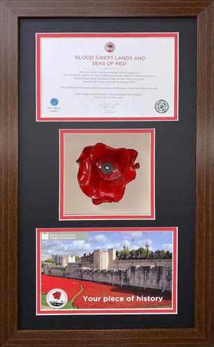 Poppy Display Frame For Tower of London