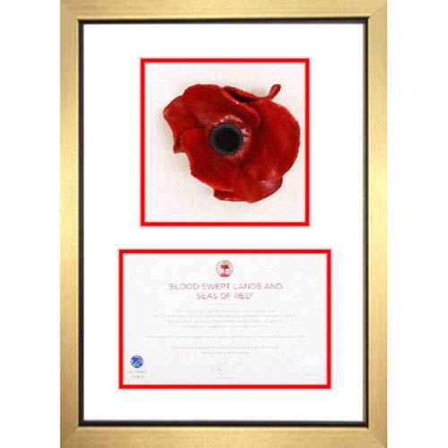 One Poppy 3D Box Frame with A5 opening for certificate - White Mount